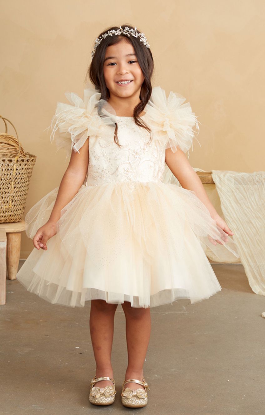 Girls Party Dresses – canastillaidealkids